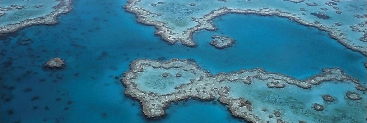 REEF RELIEF: Australia pleased by pending Great Barrier Reef status
